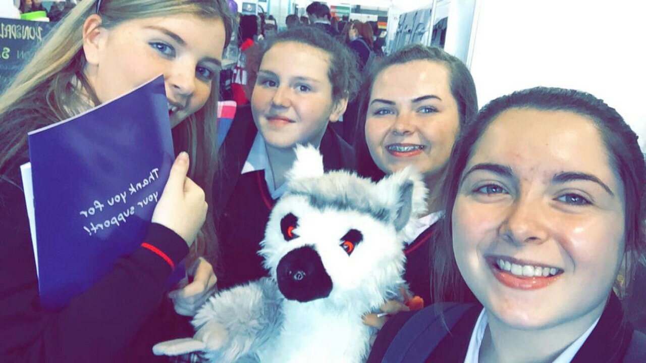Transition Year students have a great day out at the TY Expo - High ...